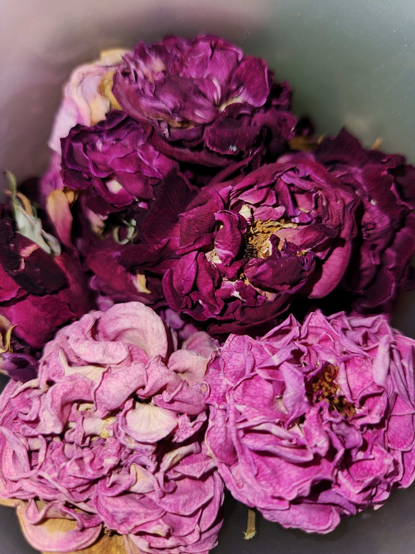 Dried Rose Petals – Blackwood Botanical